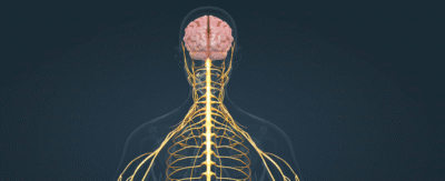 Stellate Ganglion Block | Maverick Medical Education
