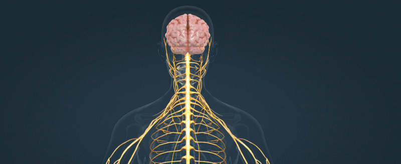 Stellate Ganglion Block | Maverick Medical Education